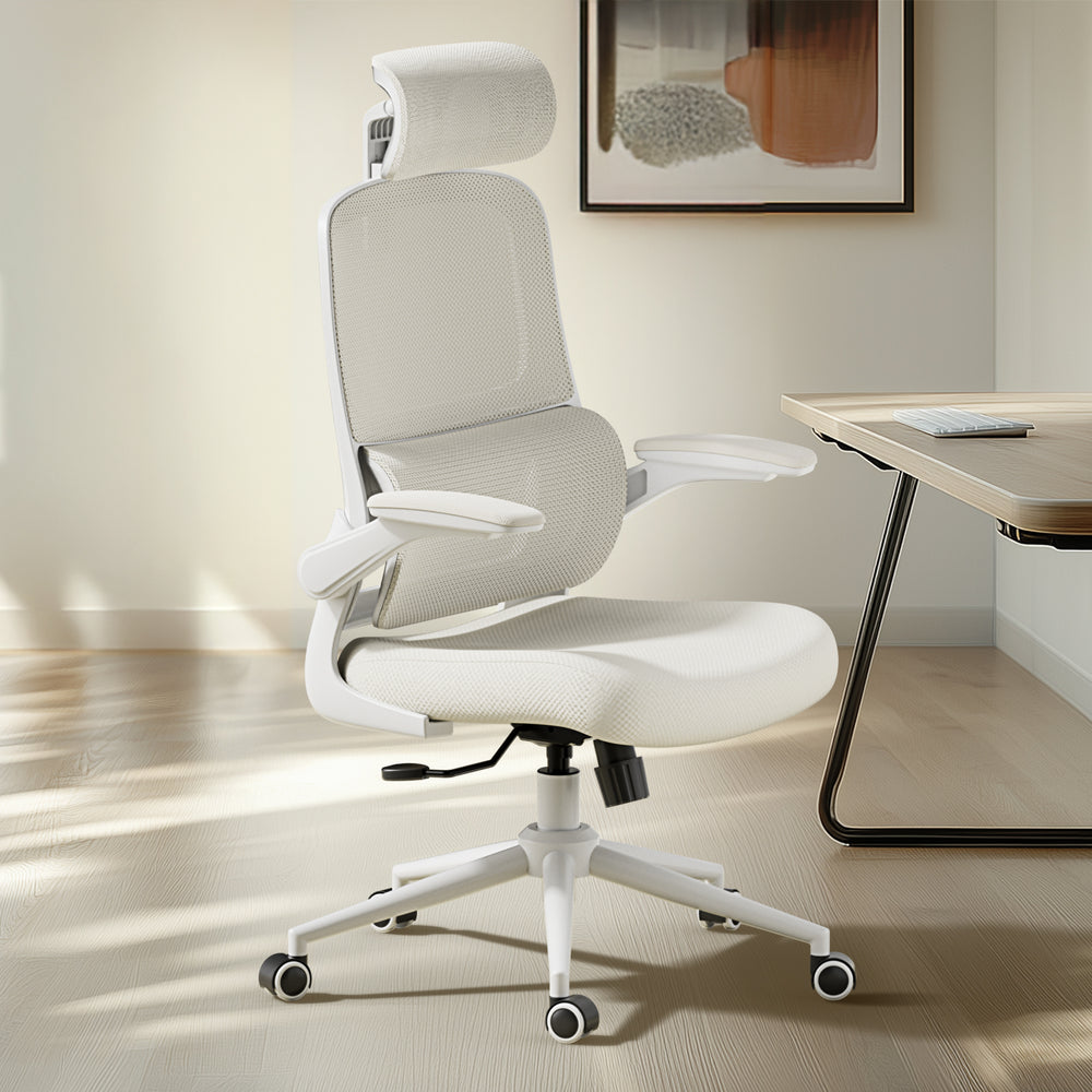 Hbada P1 Ergonomic Office Chair