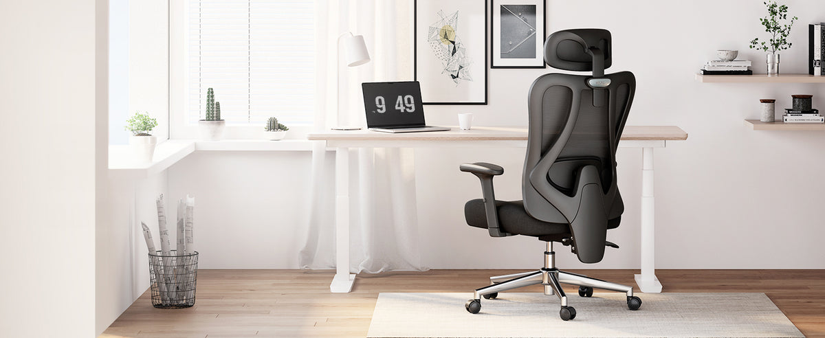 HBADA P3 Ergonomic Chair with Footrest