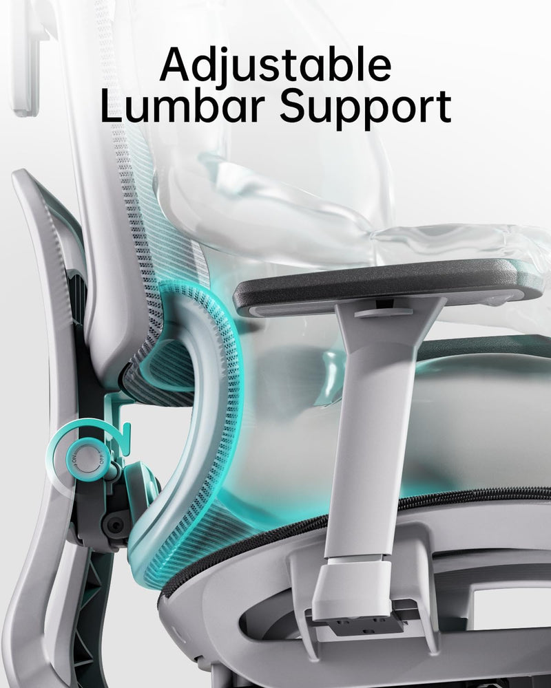 Hbada E2 Ergonomic Office Chair-White